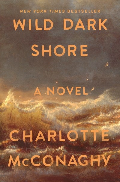 Wild Dark Shore | The Nature of Reading Bookshop
